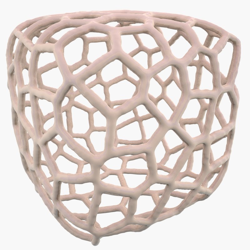 3ds max voronoi mht-04