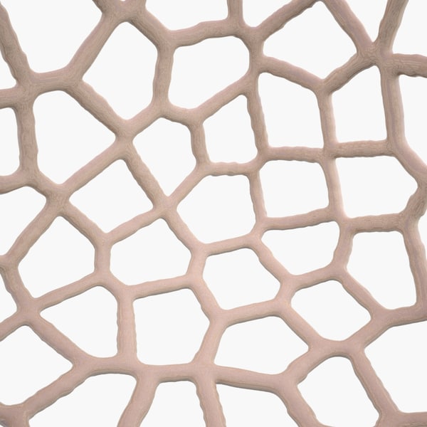 3ds max voronoi mht-04