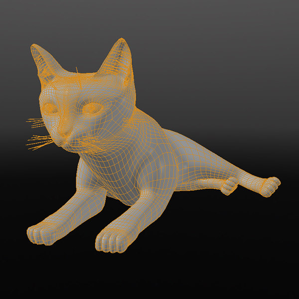 3d cat