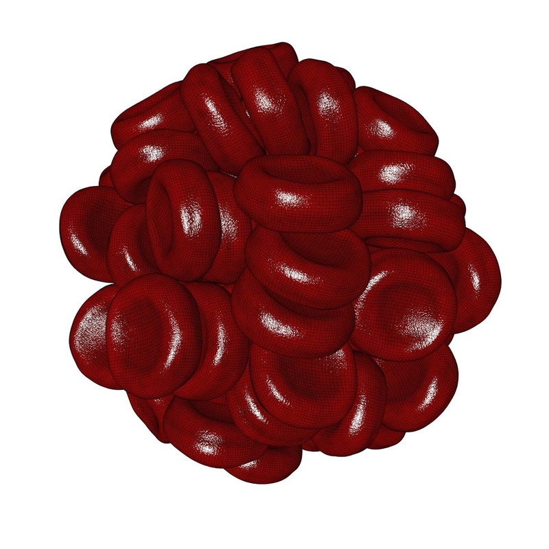 Aggregiertes Erythrozyten-Blutgerinnsel-Koagulum 3D-Modell - TurboSquid ...