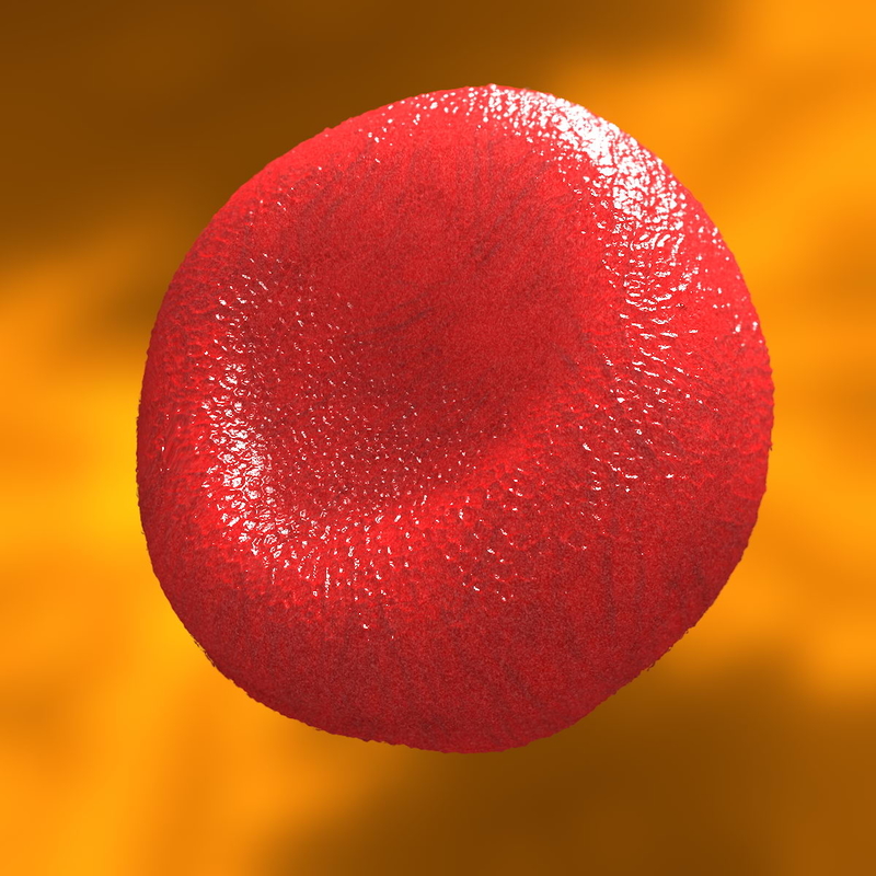 Aggregiertes Erythrozyten-Blutgerinnsel-Koagulum 3D-Modell - TurboSquid ...