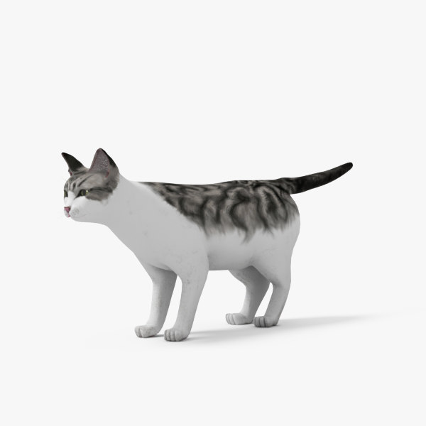 3ds max cat