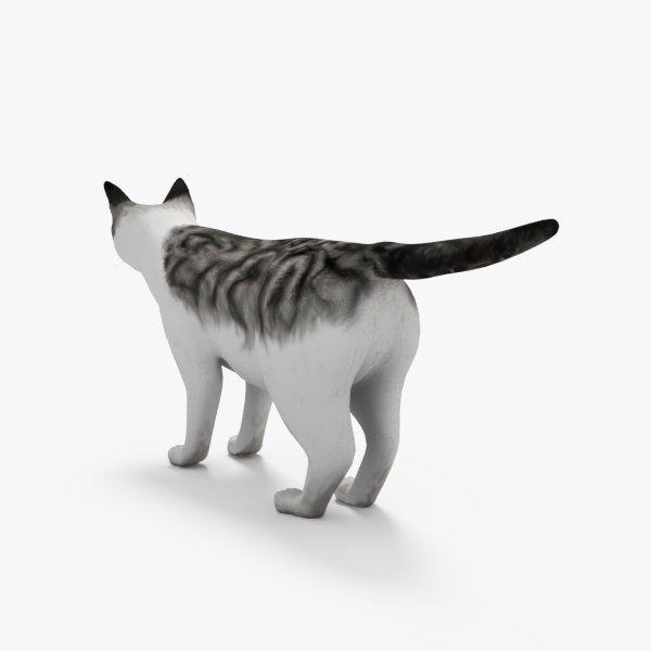 3ds max cat