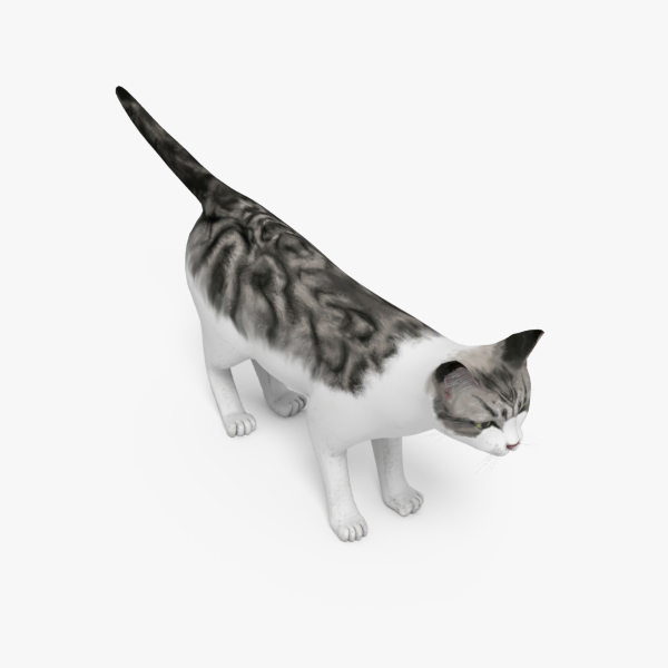 3ds max cat