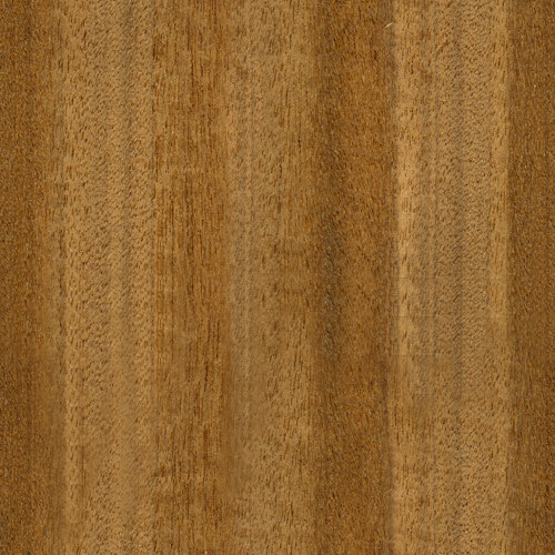 Texture JPEG afromosia wood veneer