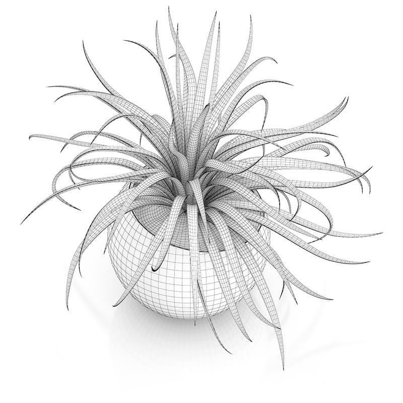 plant sphere pot 3d max