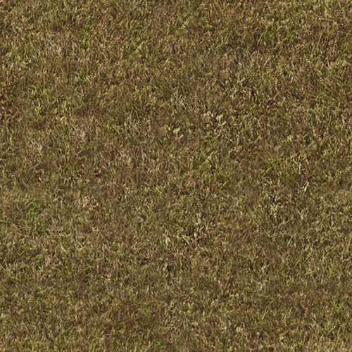 Texture JPEG grass lawn ground