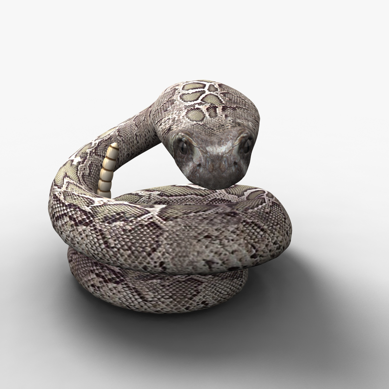 3d western diamondback rattlesnake rigged model