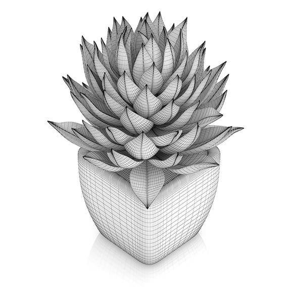 small plant white pot 3d model
