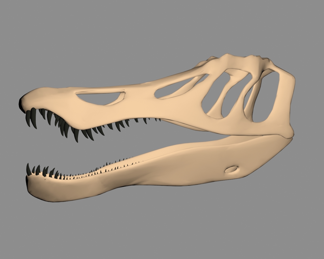 3dsmax baryonyx skull