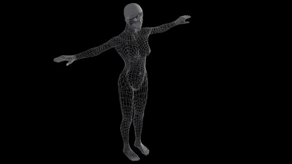 3d model animation swimming