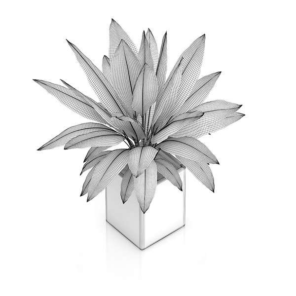 plant square blue pot 3d model
