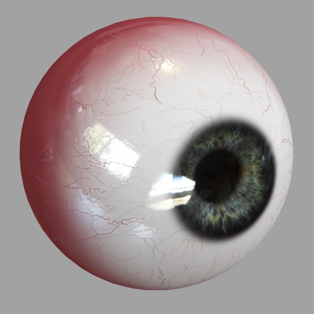 3d model eyes human realistic eyeball