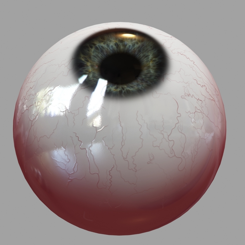 3d model eyes human realistic eyeball