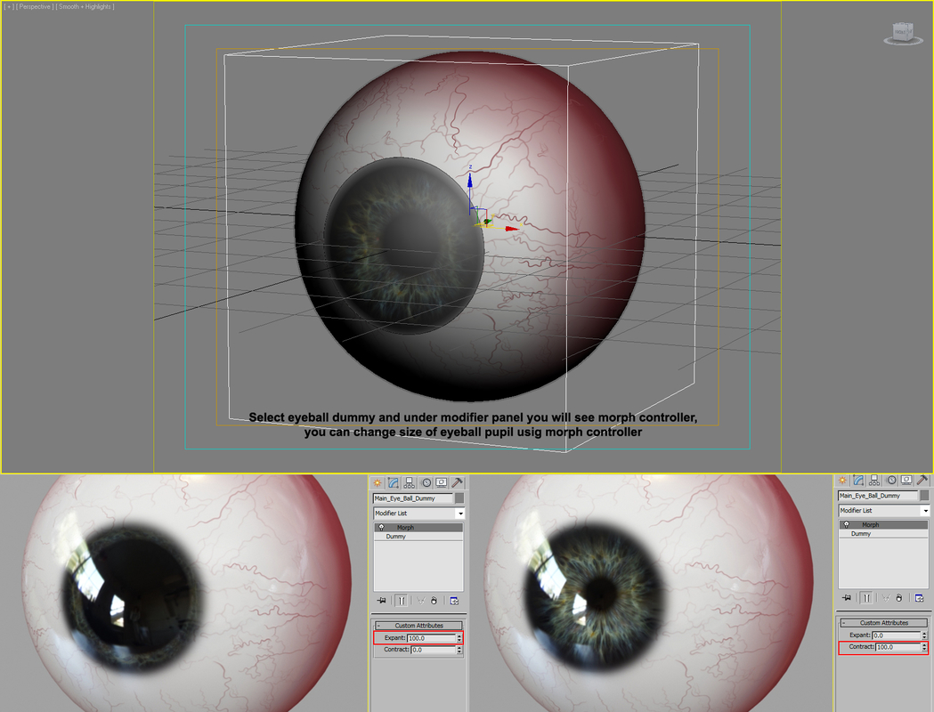 3d model eyes human realistic eyeball