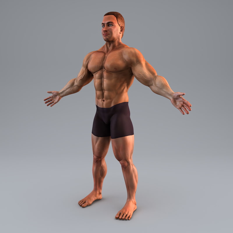 3d-bodybuilder-character-man