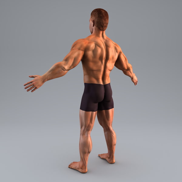 3d bodybuilder character man