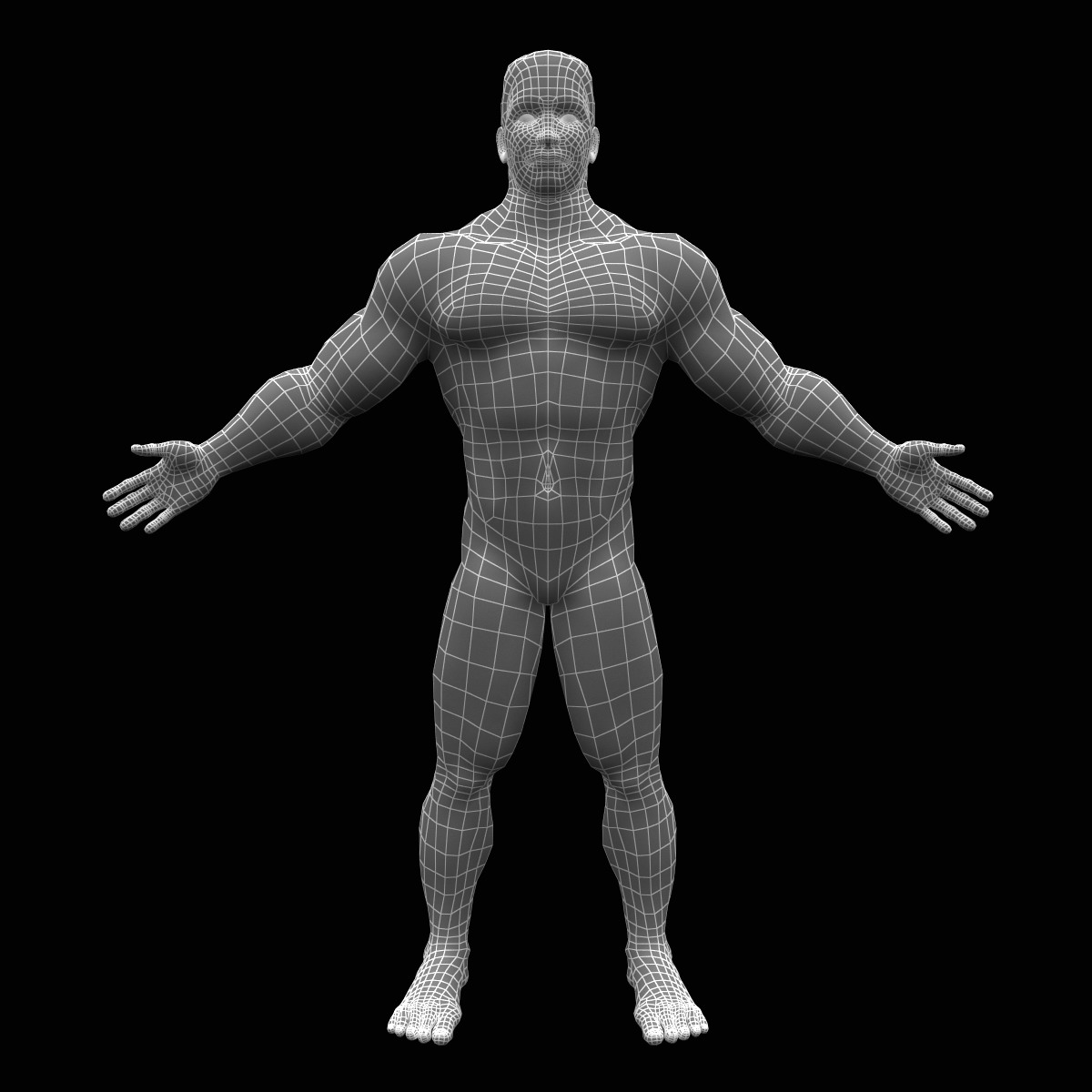 3d bodybuilder character man