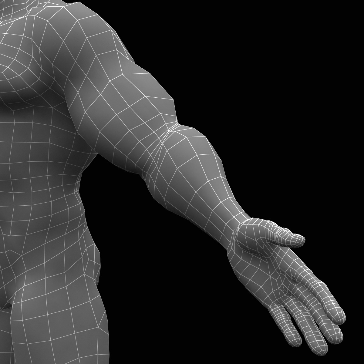 3d bodybuilder character man