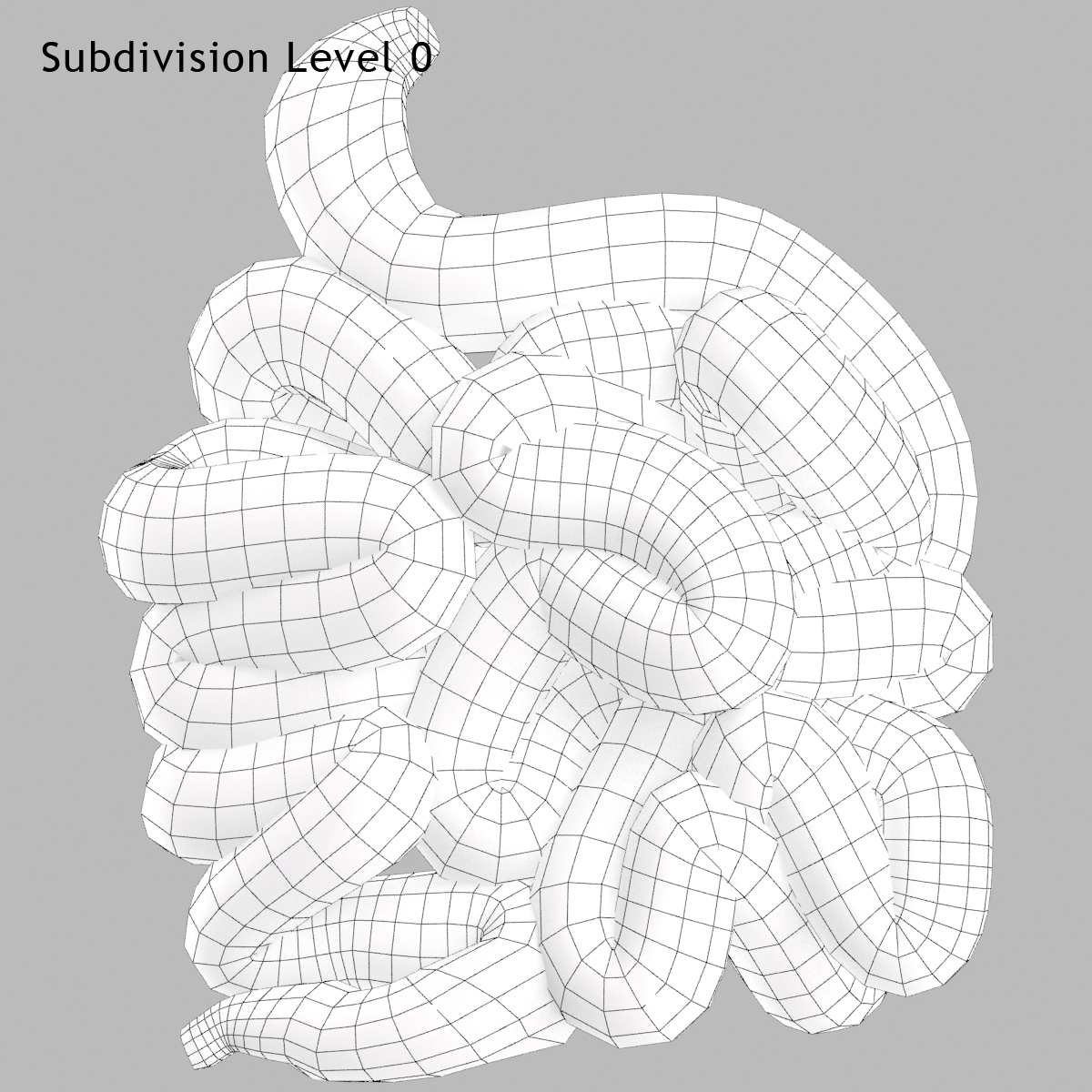 3d model large intestine