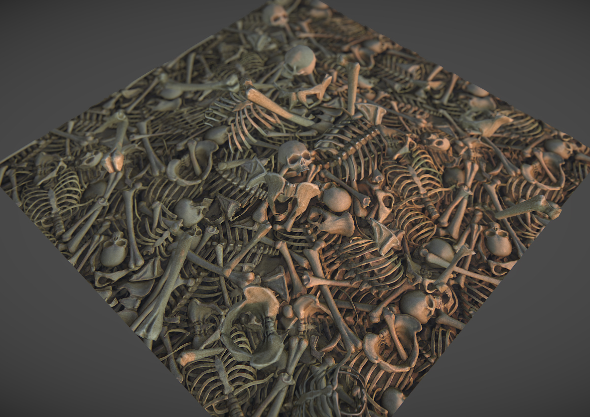 3d bone skeleton model