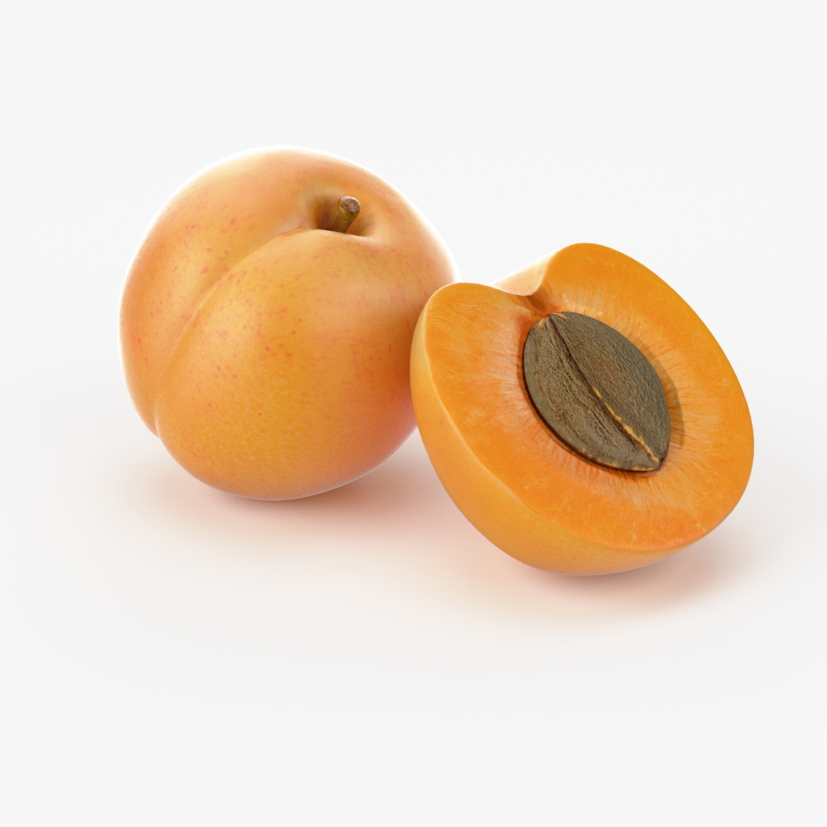 realistic apricot real max