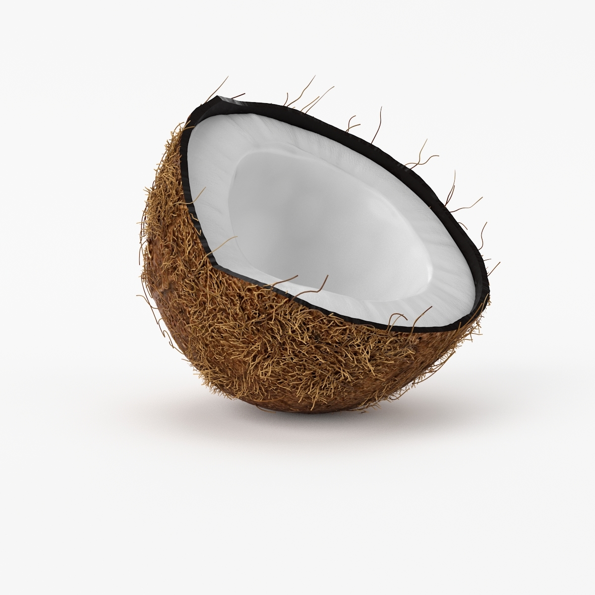 realistic coconut real fruit 3d obj