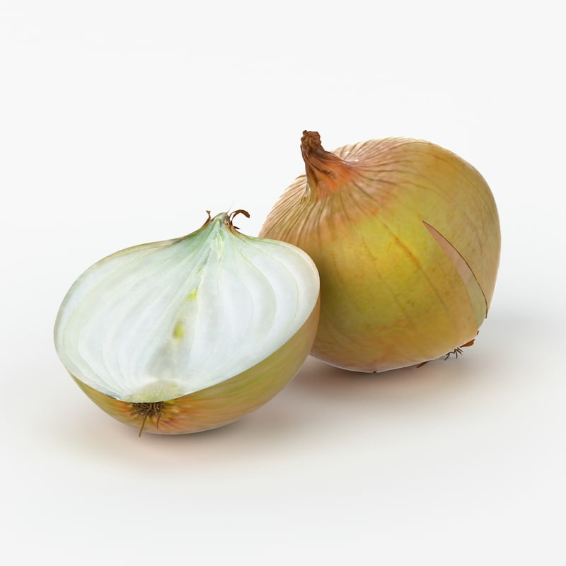 max realistic onion real vegetables