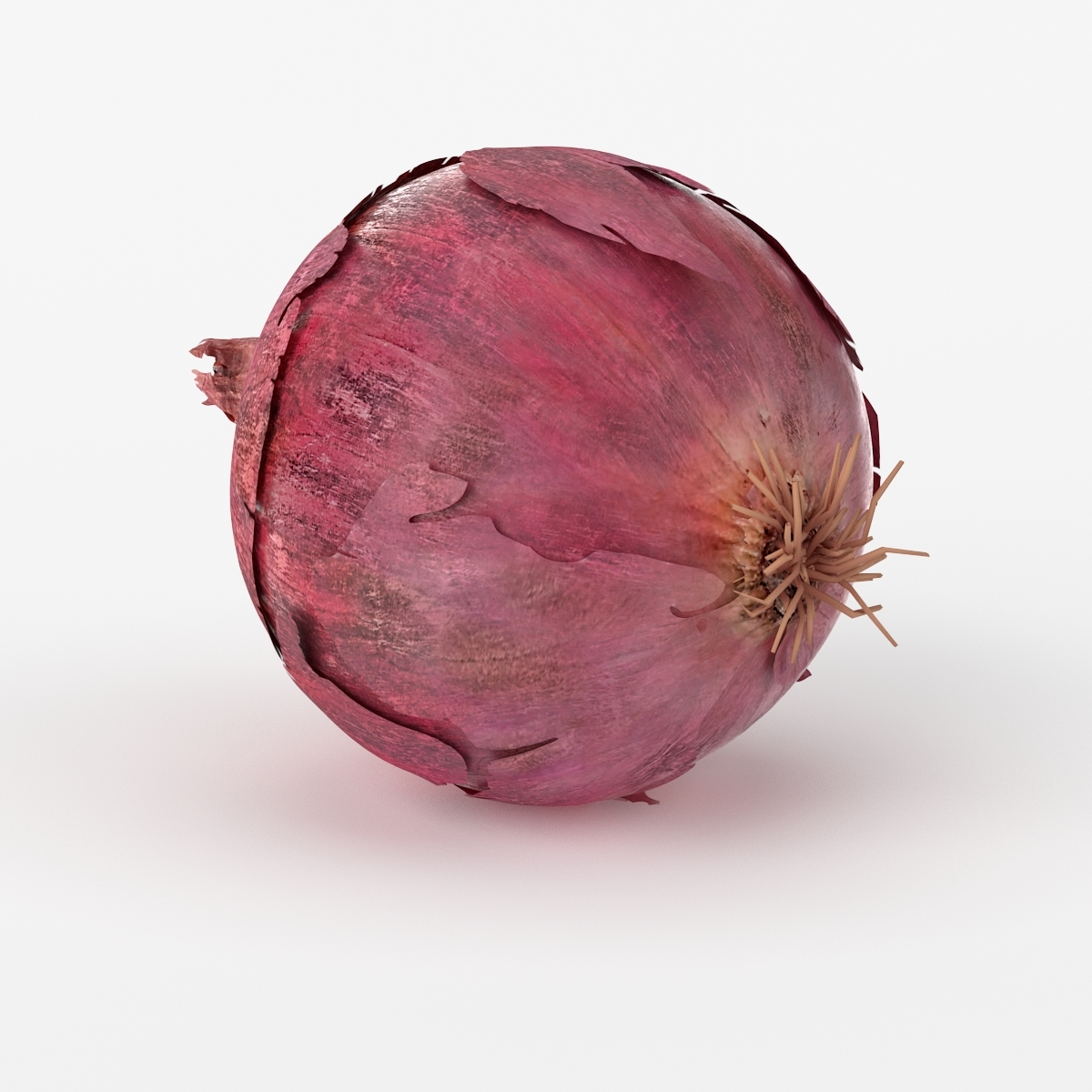 max realistic onion real