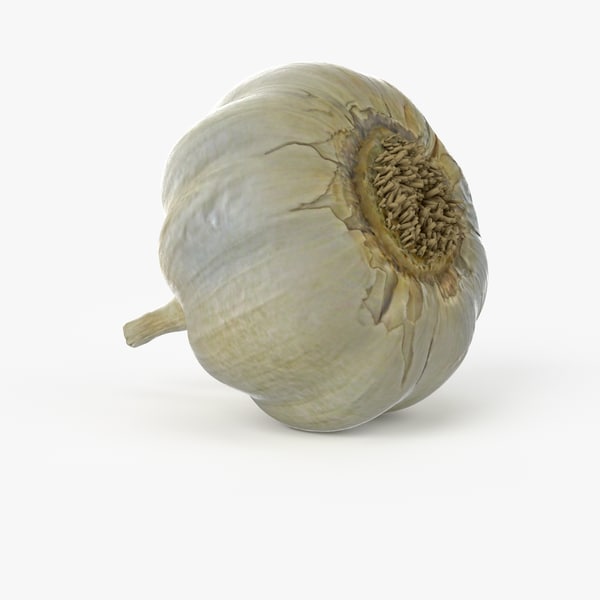realistic garlic real vegetables 3d model
