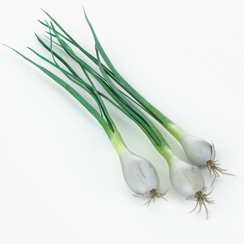 realistic chives real vegetables max