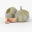 realistic garlic real vegetables 3d model
