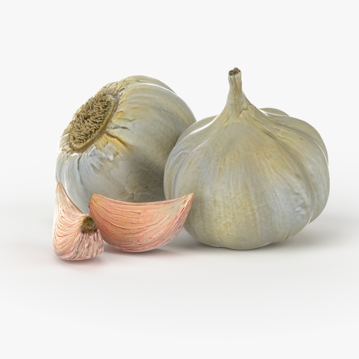 realistic garlic real vegetables 3d model