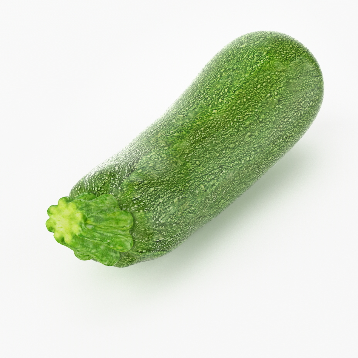 3d realistic squash real vegetables