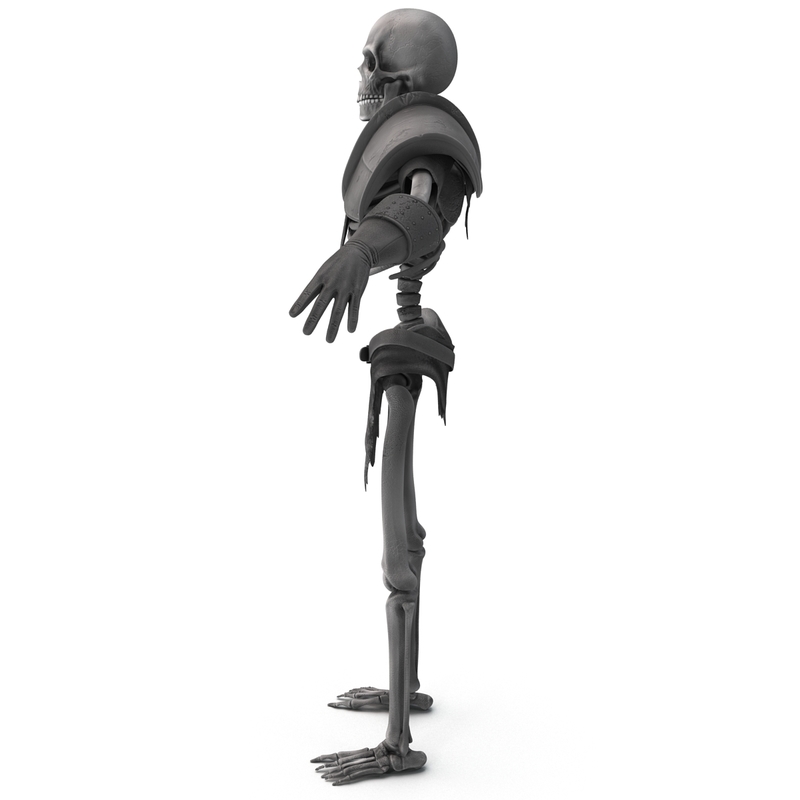 3d skeleton fighter