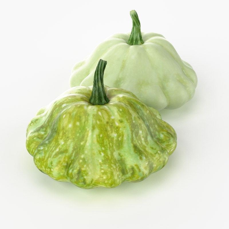 3d model realistic squash real
