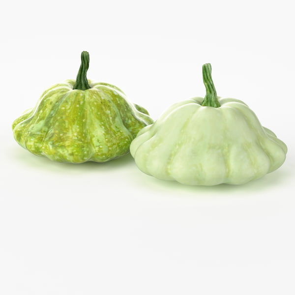 3d model realistic squash real