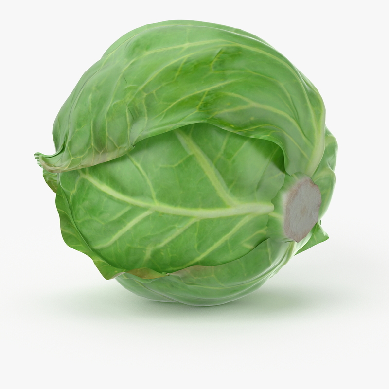 3ds max realistic cabbage real vegetables