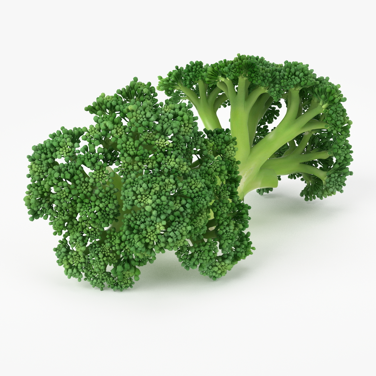 3d realistic broccoli real model
