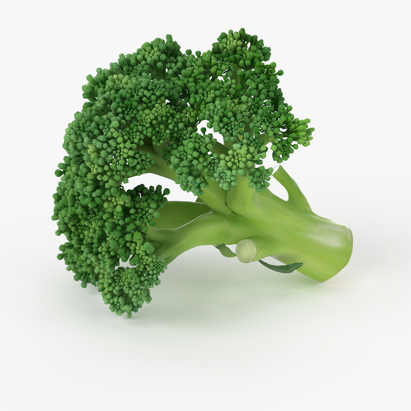 3d realistic broccoli real model