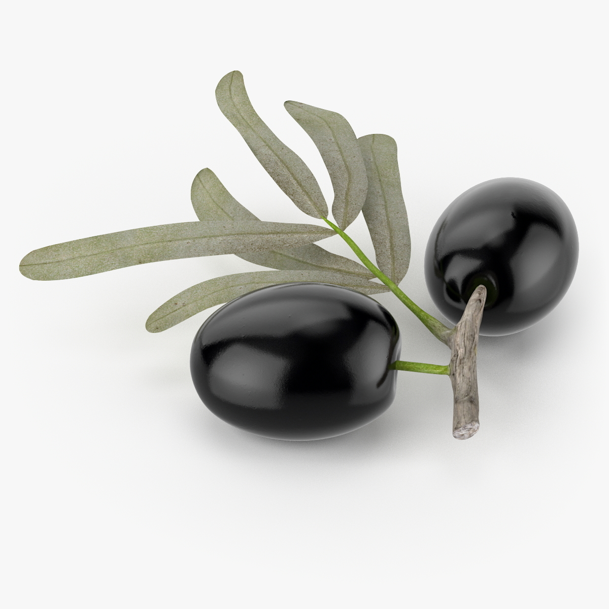 realistic olives real 3d model