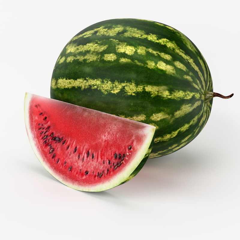realistic watermelon real 3d model