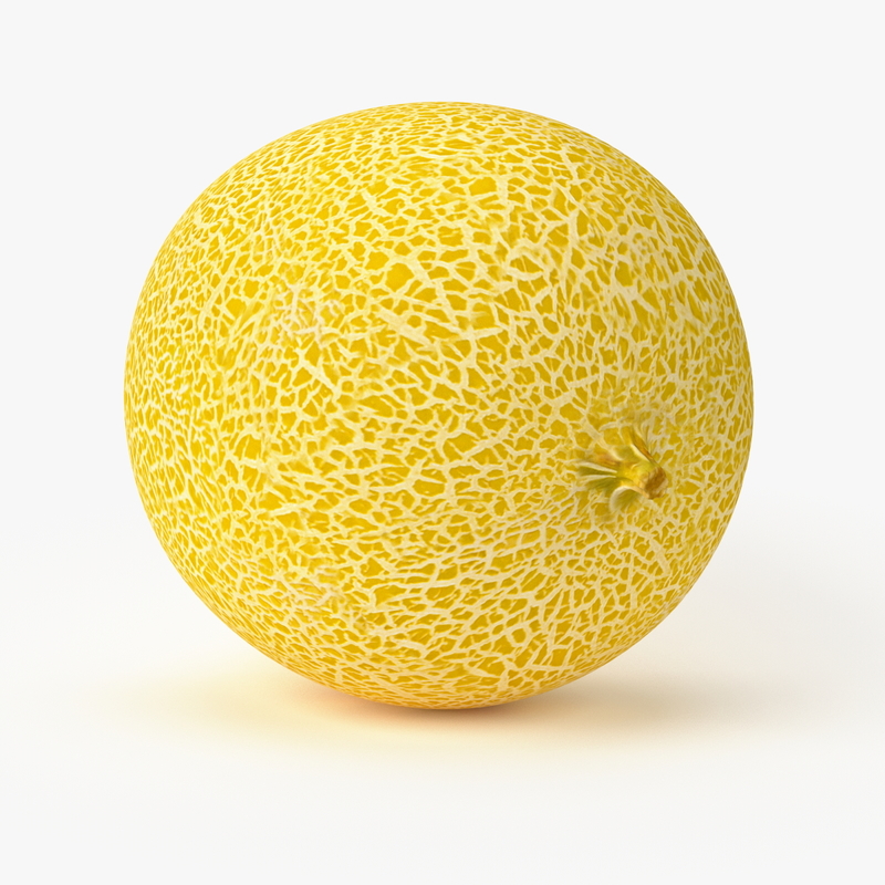 3d model realistic melon real vegetables