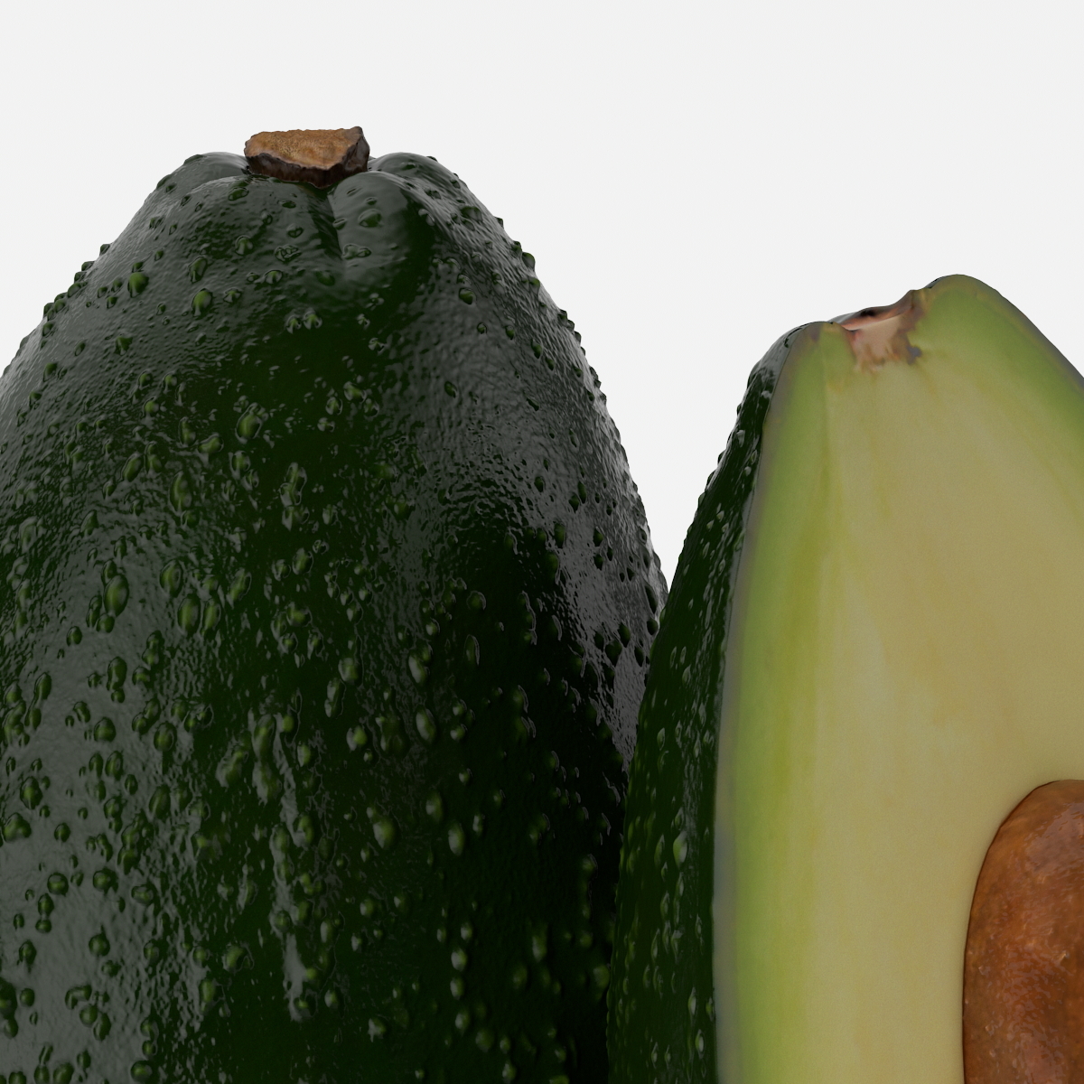 realistic avocado fruit real 3d model