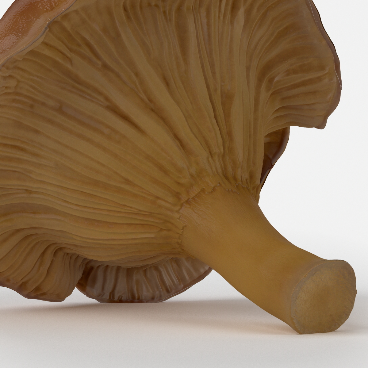 realistic mushroom real 3d model