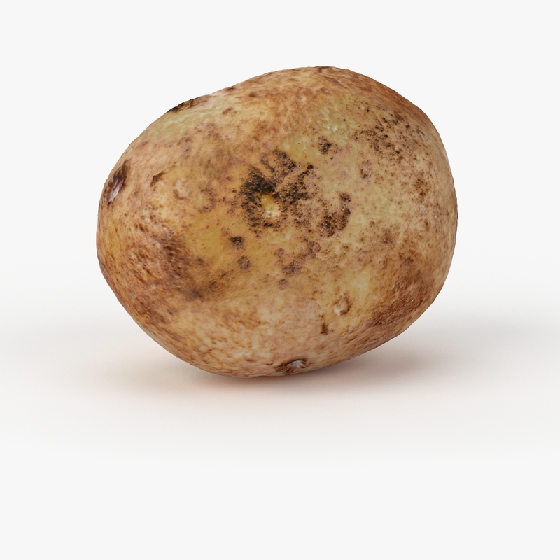 realistic potato real vegetables 3d max