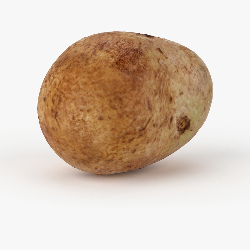 realistic potato real vegetables 3d max