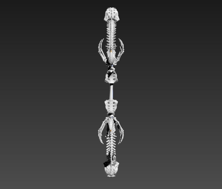 bow ancient bones 3d max