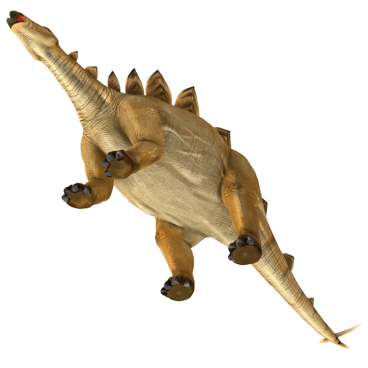 stegosaurus rigged 3d model