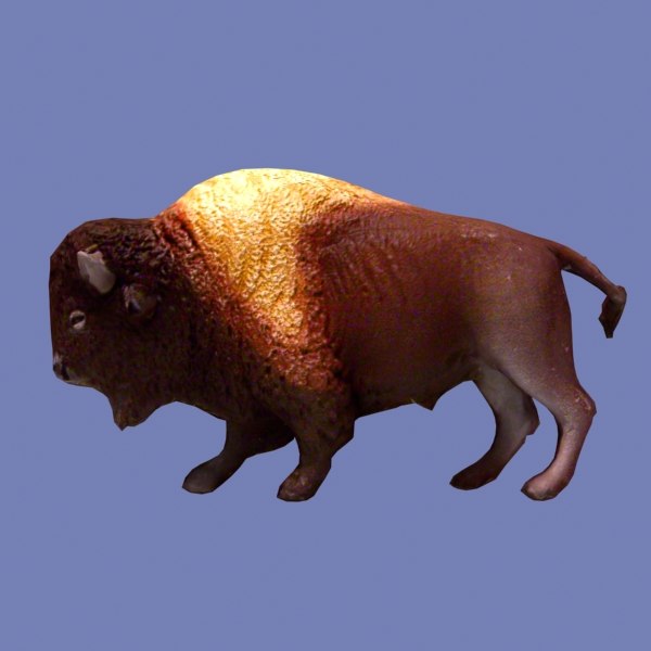 3D Buffalo Models | TurboSquid